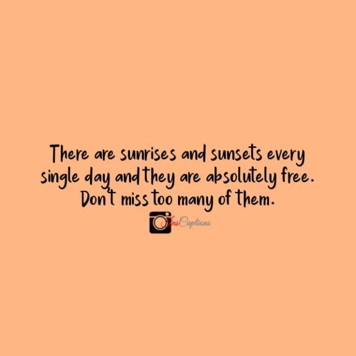 200+ Latest Best Sunset Captions For Instagram And Puns In 2023